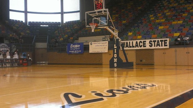 Women's HoopDirt | McBrayer promoted to Wallace State’s new women’s ...
