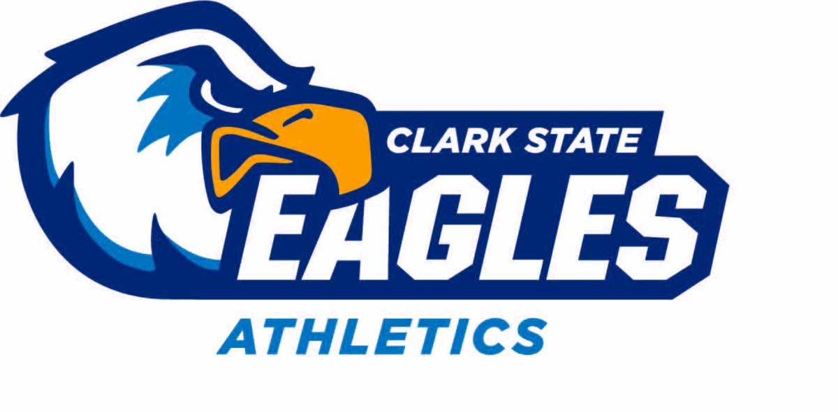 Women's HoopDirt | Corey Steinke Named Clark State College Head Women's ...
