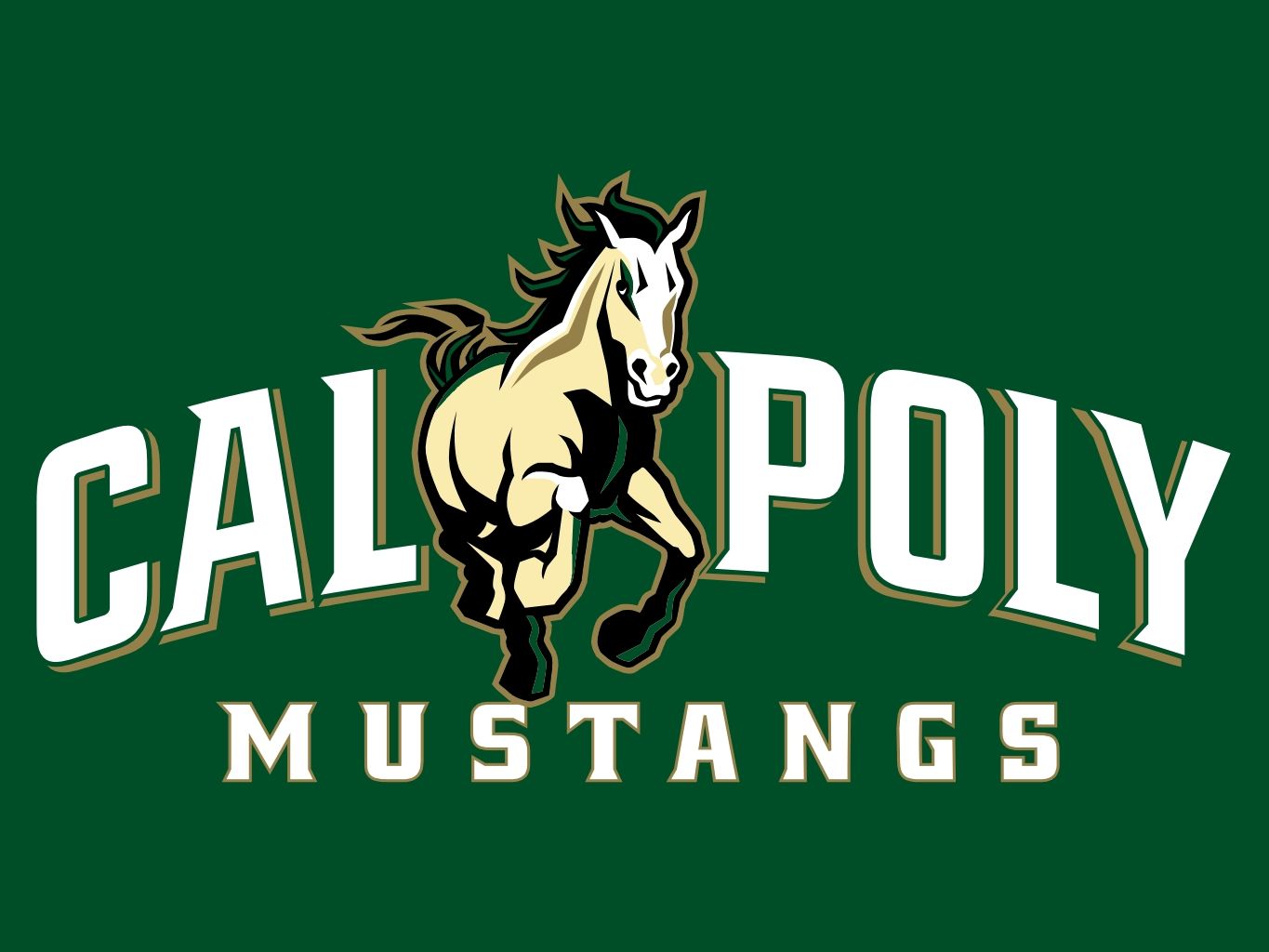 Women's HoopDirt | Stires announced as new WBB head coach at Cal Poly ...
