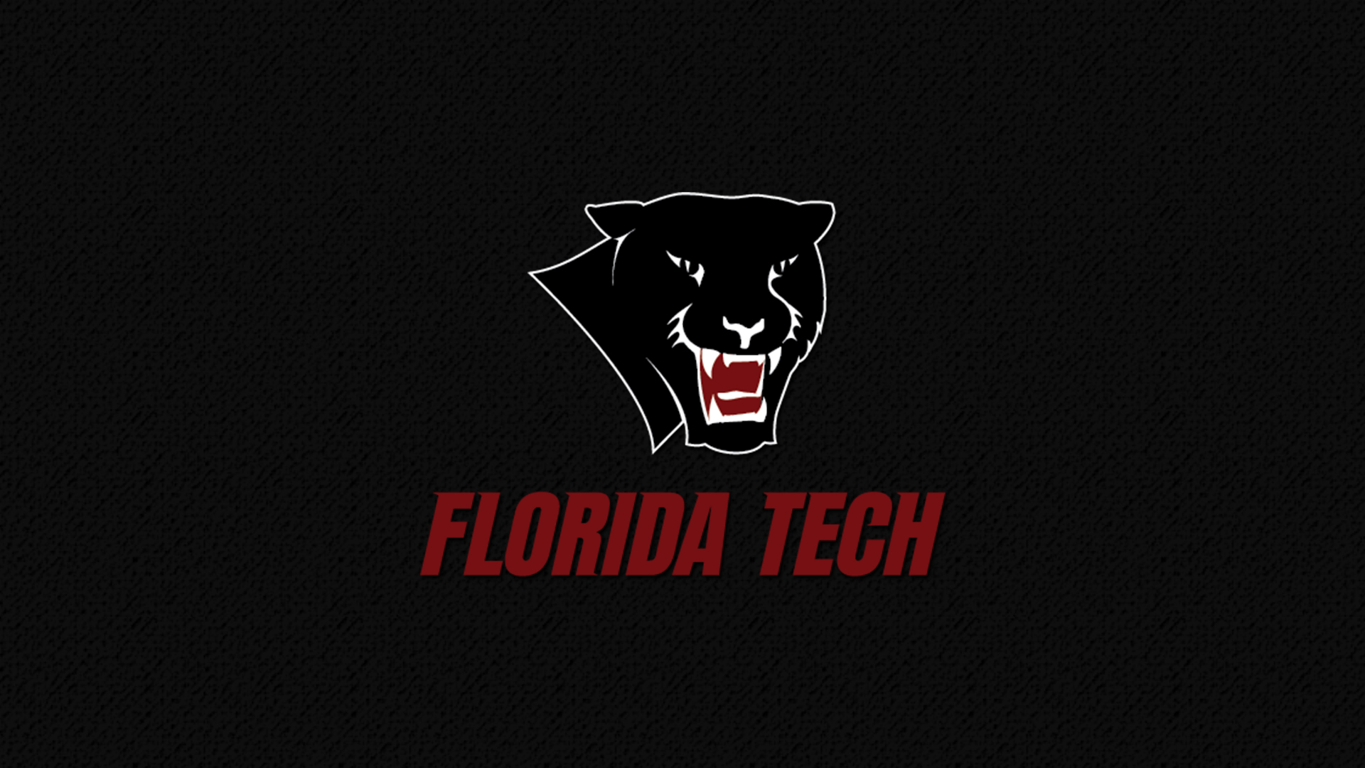 Women's HoopDirt | Gelbaugh hired as Assistant Women's Basketball Coach ...