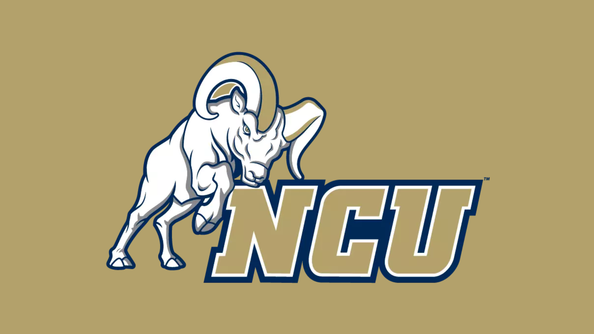 Women's HoopDirt | North Central promotes Rohrbach to Women's ...